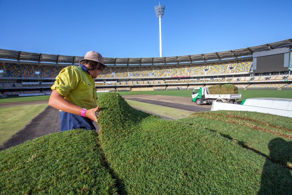 About Twin View Turf - Producer of Australia’s Best Lawns | Twin View ...