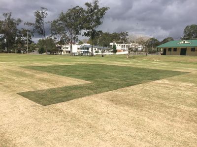 Turf patching - Sportsfield Renovation project - Twin View Turf | Twin ...