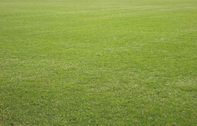 Sports Turf - Twin View Turf - Producer of Australia’s Best Lawns ...
