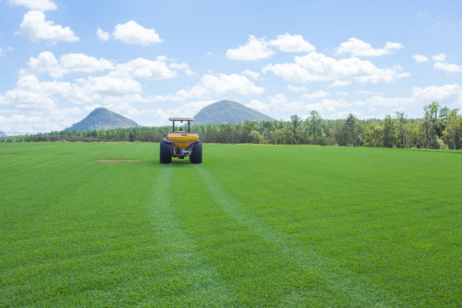 Turf nutrition - Sportsfield Renovation project - Twin View Turf | Twin ...