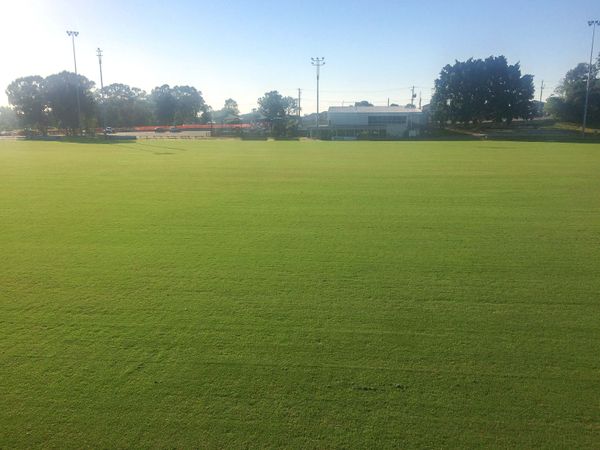 Our Projects - Twin View Turf - Producer of Australia’s Best Lawns ...