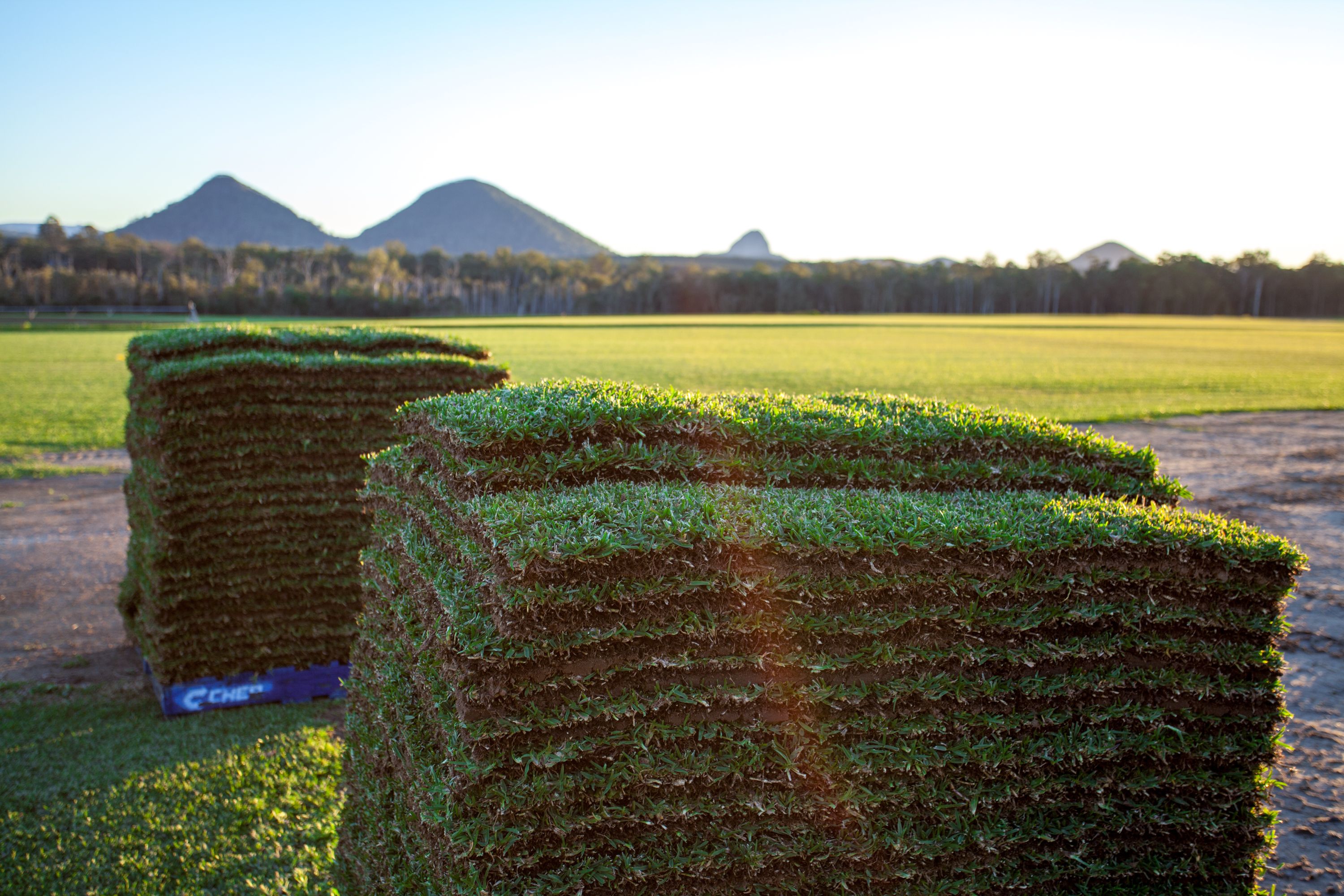 Twin View Turf - Producer of Australia’s Best Lawns | Twin View Turf ...