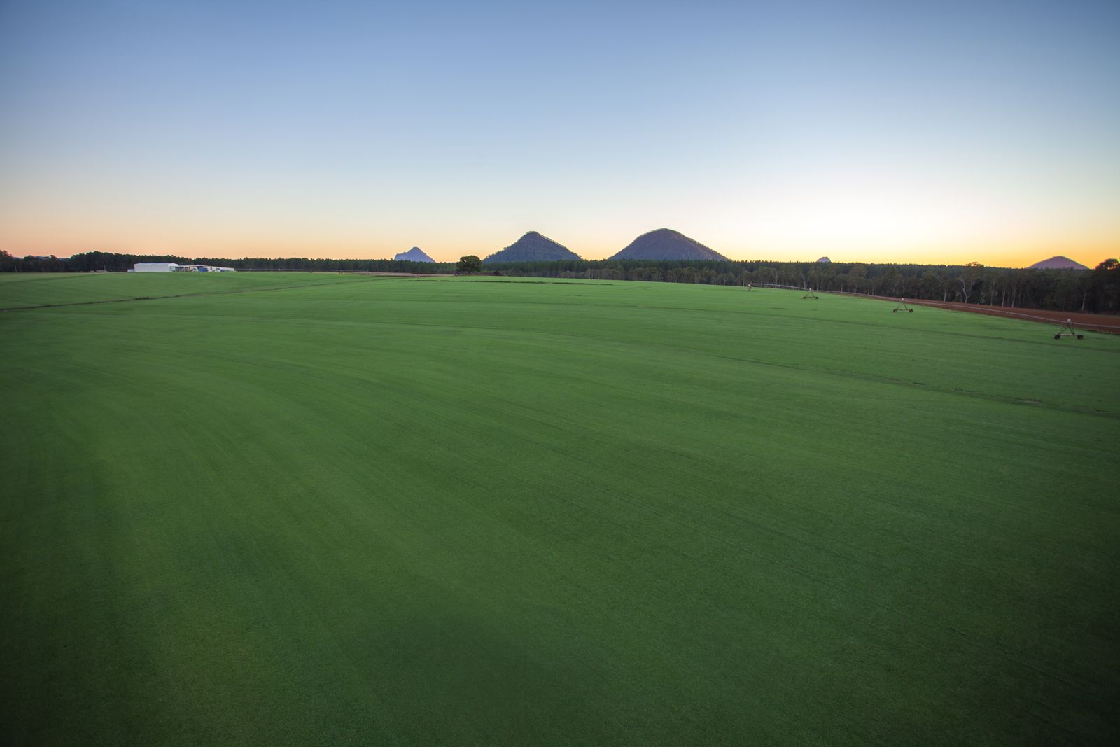 Twin View Turf - Producer of Australia’s Best Lawns | Twin View Turf ...