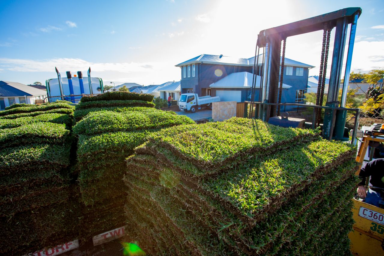 Twin View Turf - Producer of Australia’s Best Lawns | Twin View Turf ...